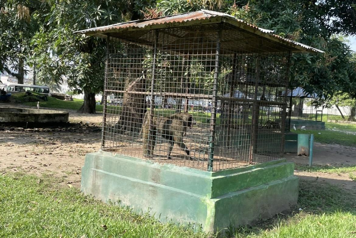 Kinshasa : le jardin zoologique se vide de ses animaux(constat) - Mbote