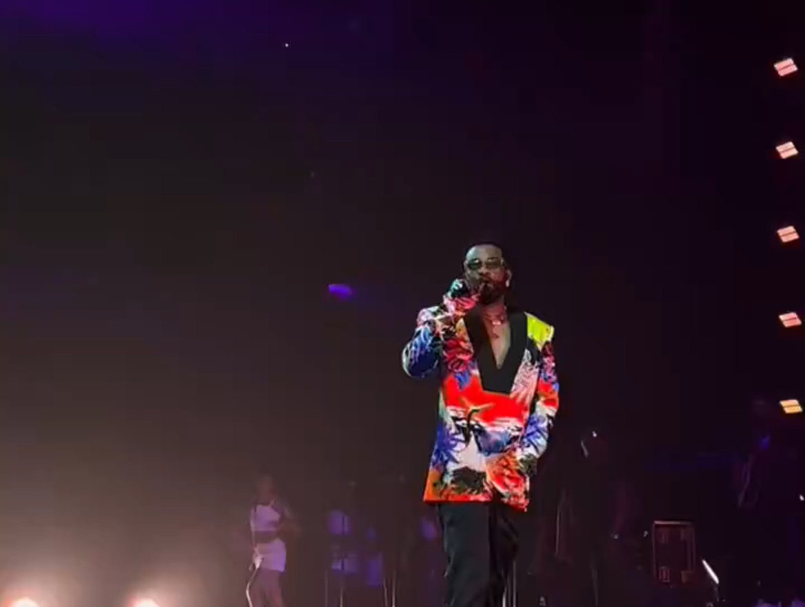 Fally Ipupa enflamme Lyon avec son concert à la LDLC Aréna - Mbote