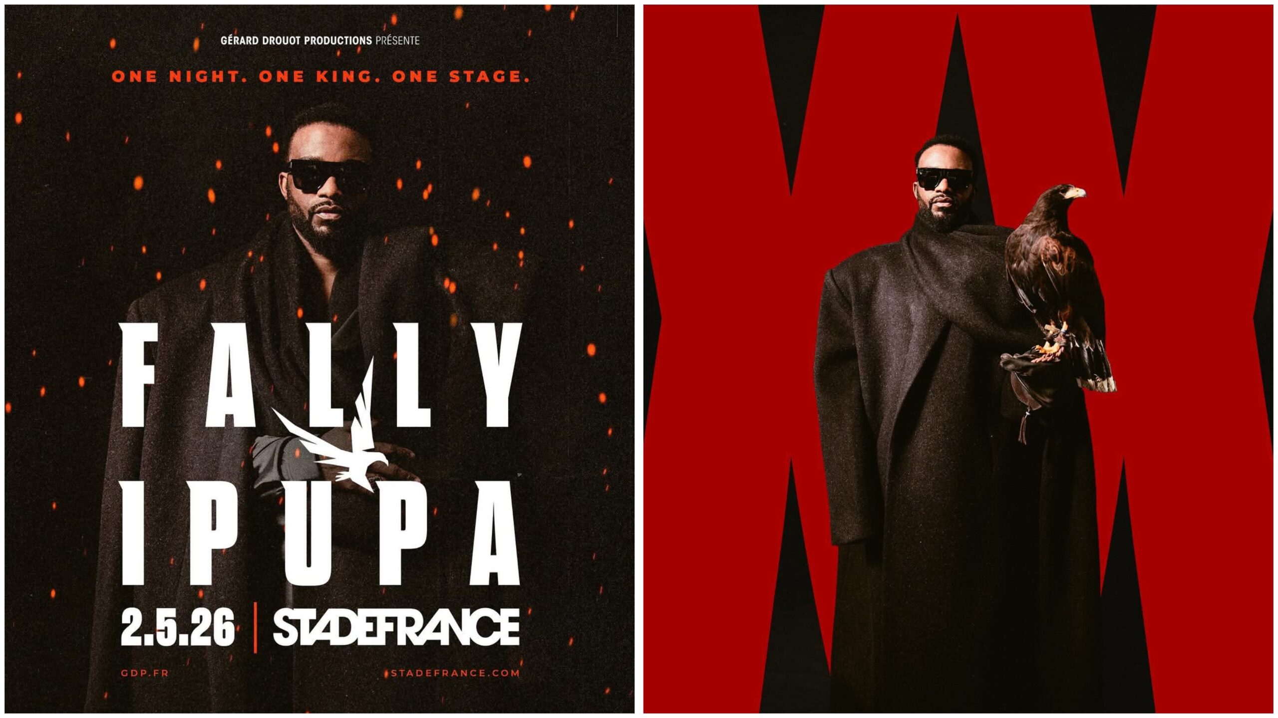 Stade de France et album XX : les 20 ans de carrière de Fally Ipupa s ...
