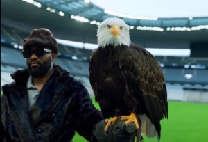 Fally Ipupa offre au Stade de France un record historique avec 18 ...